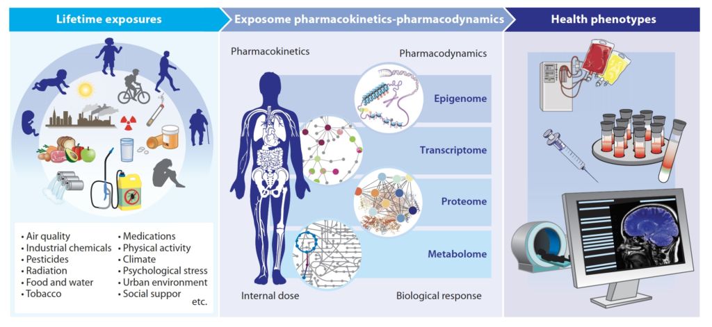 The Exposome: Molecules to Populations - The Human Exposome Project